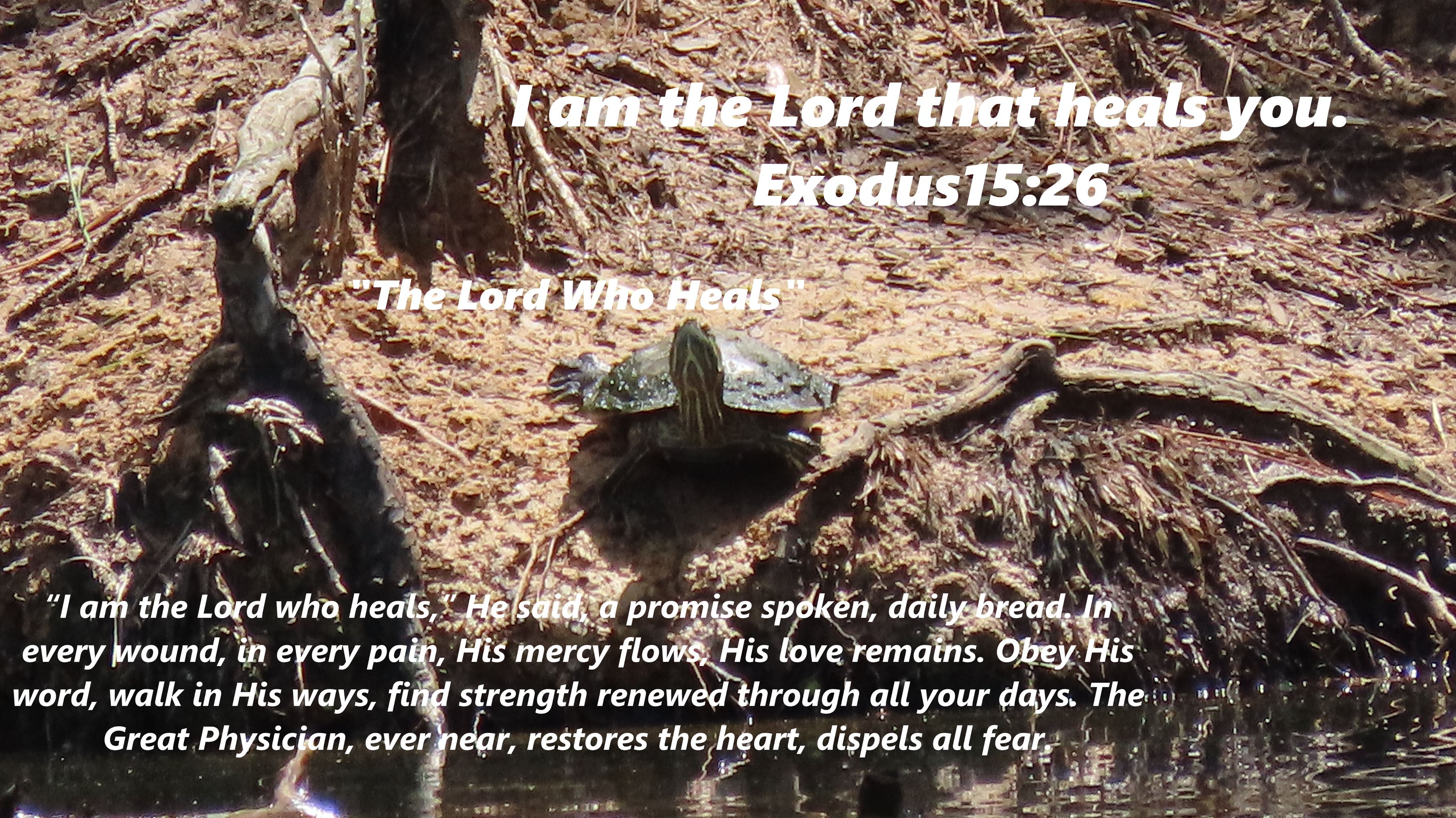 “The Lord Who Heals” – "Common Sense Of Miracles" "Christian National ...