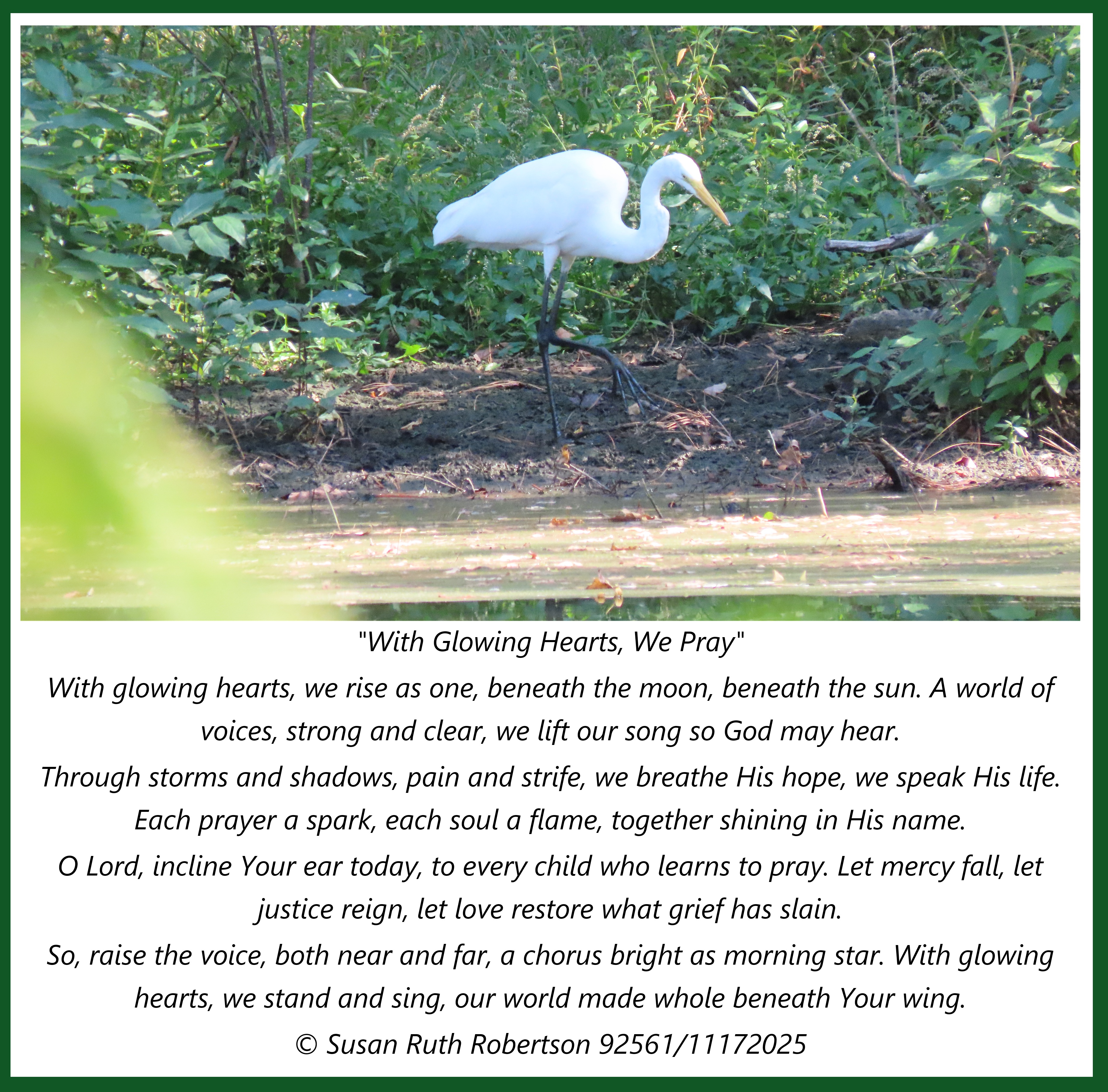 “Prayer for Unity, Mercy, and Healing” – "Common Sense Of Miracles ...