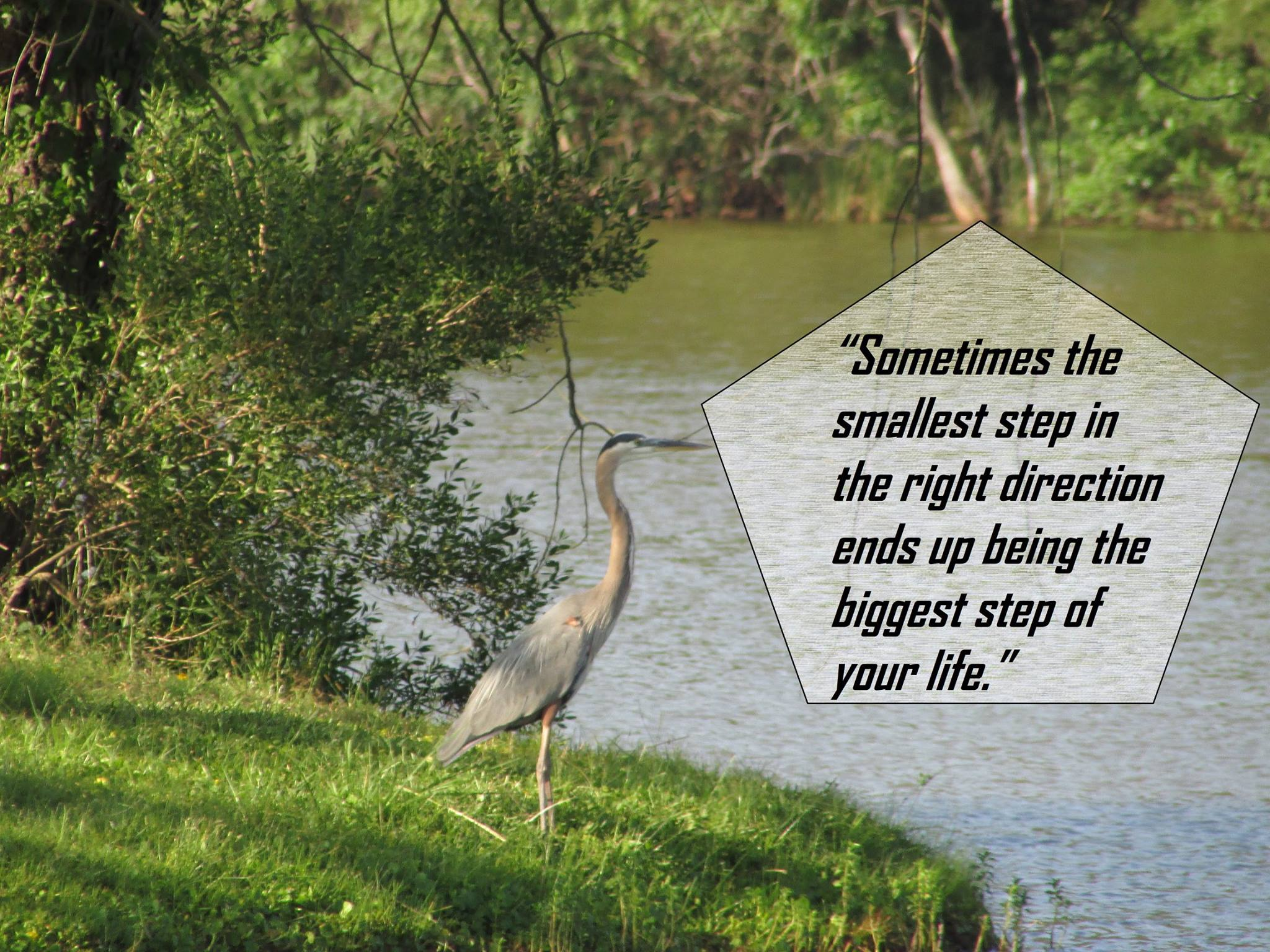 “Small Steps Are Sacred” – "Common Sense Of Miracles" "Christian ...