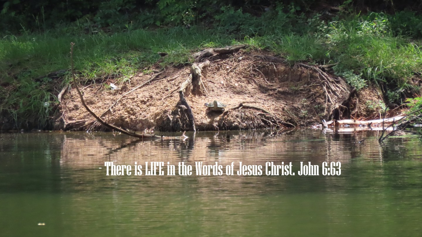 “Jesus, Words Breath of Life” – "Common Sense Of Miracles" "Christian ...