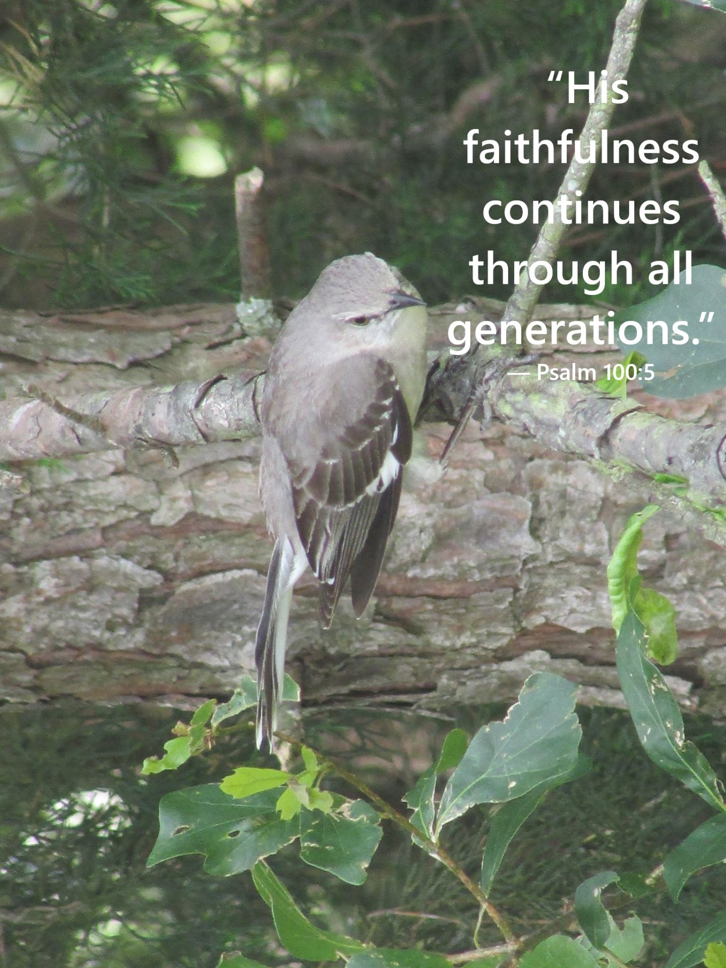 “Faithful Through Generations” – "Common Sense Of Miracles" "Christian ...