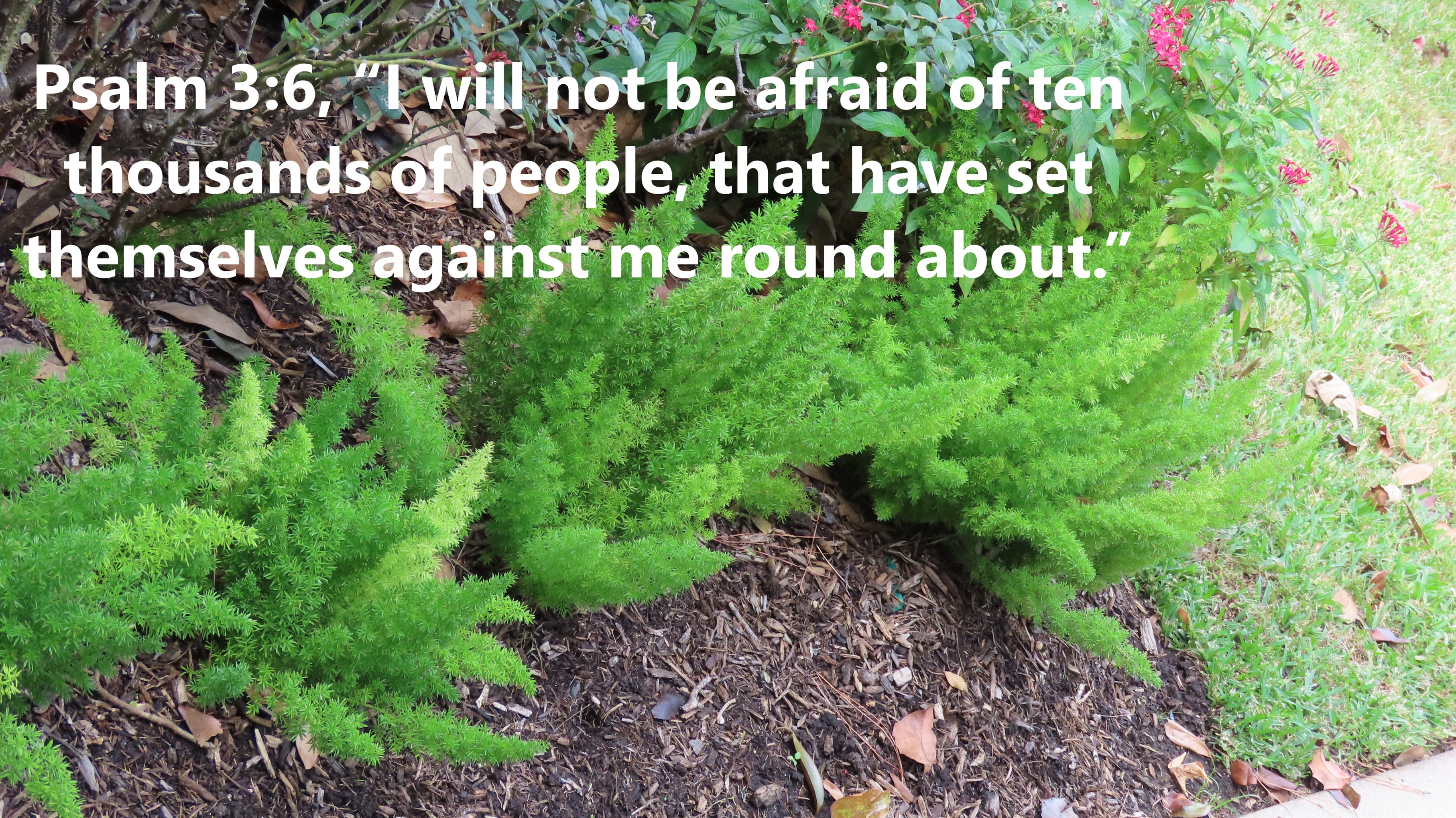 “Surrounded But Steady” – "Common Sense Of Miracles" "Christian ...